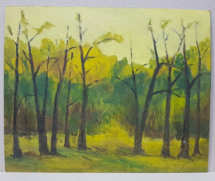 ARHITECT RADU MARIUS OCTAV - LUMINIS IN PADURE , TOAMNA , PEISAJ ...