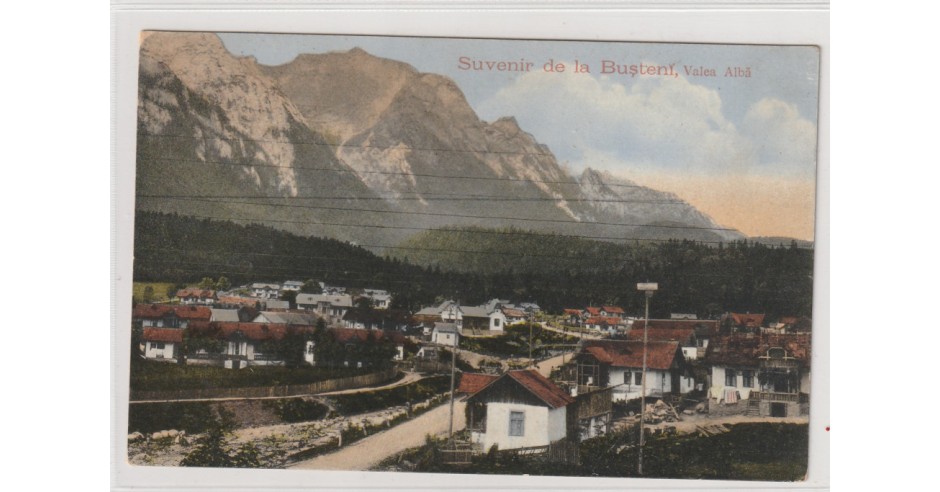 Busteni ,Suvenir de la Busteni , Valea Alba | arhiva Okazii.ro