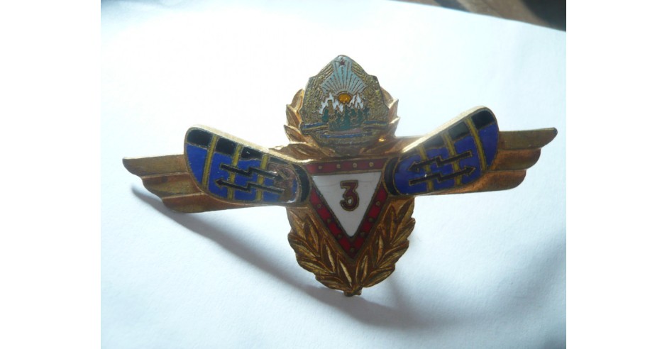 Insigna Militara Romania Specialist Radiolocatie cl.3 , email cu defect ...