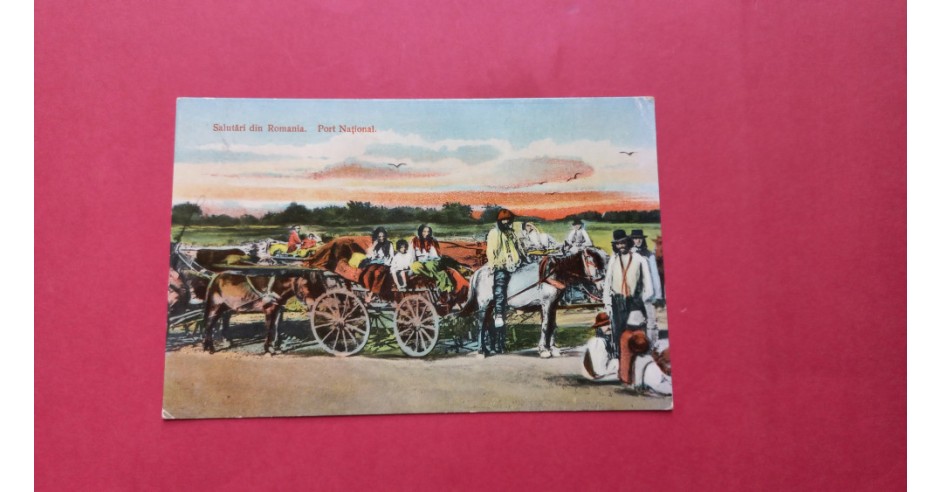 Bucuresti Satra de tigani Gypsies Etnic Zigeuner Tigan Salutari din ...