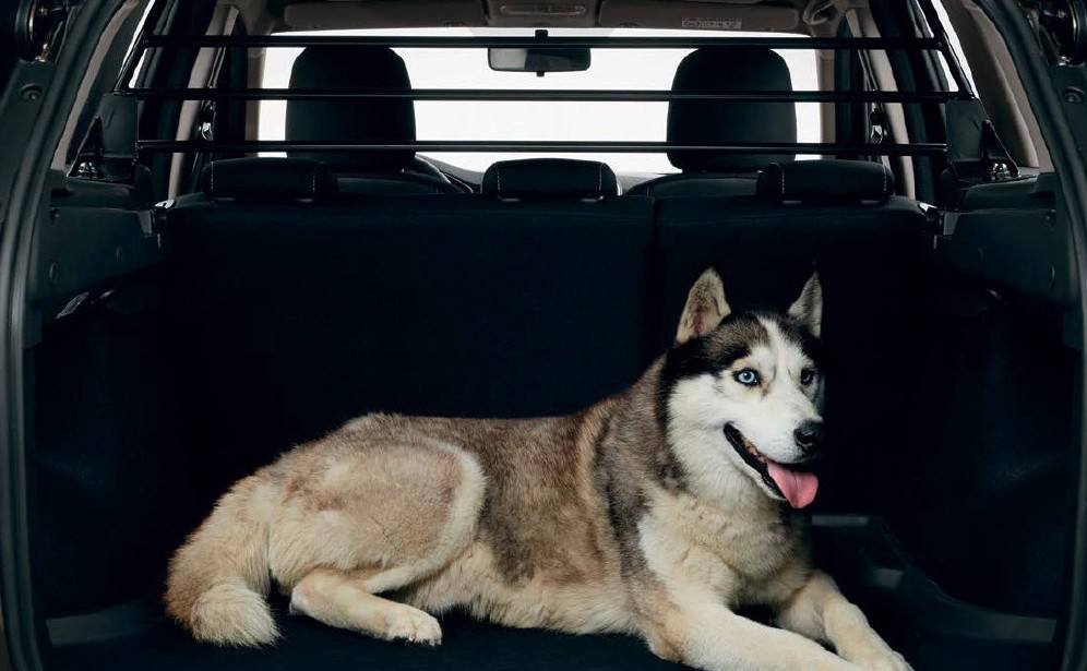 Duster II (2018-) - Grilaj de separare (Dacia Original) | arhiva Okazii.ro