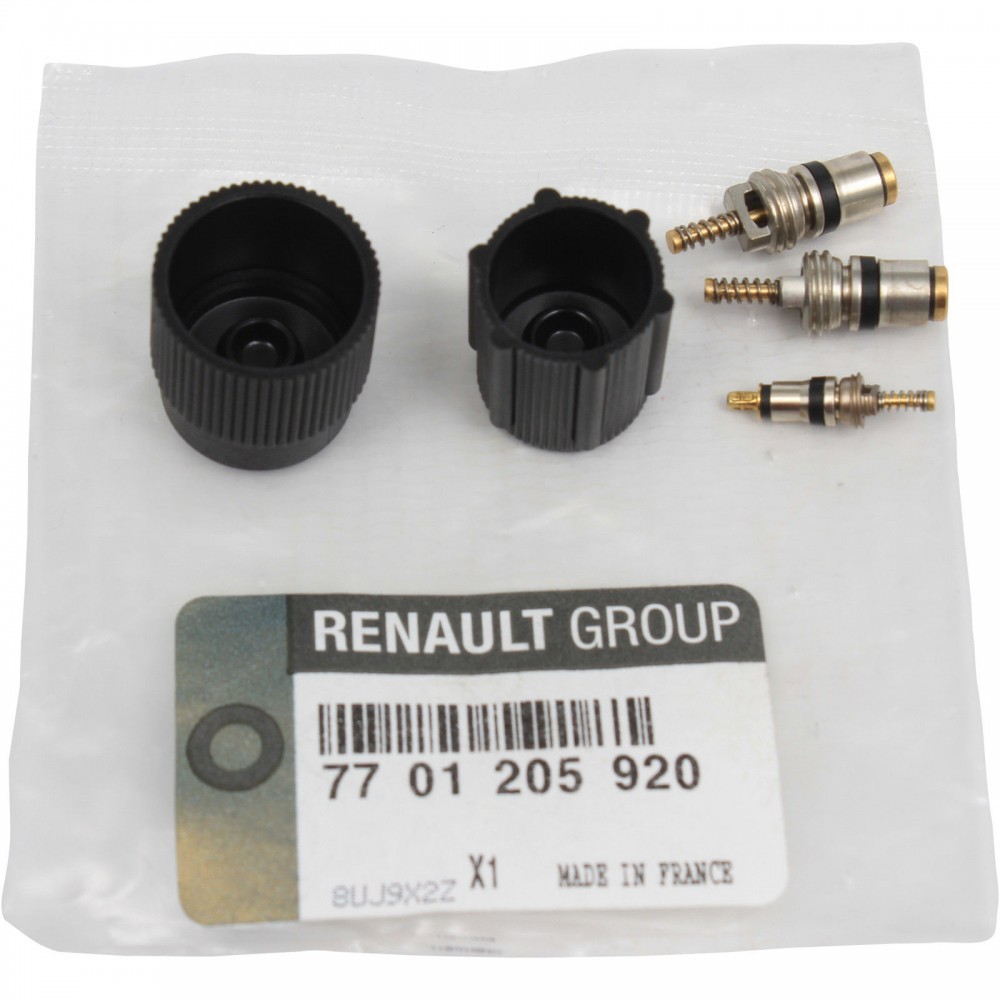 Valva reglaj sistem climatizare Renault Laguna, Scenic, Kit Original ...