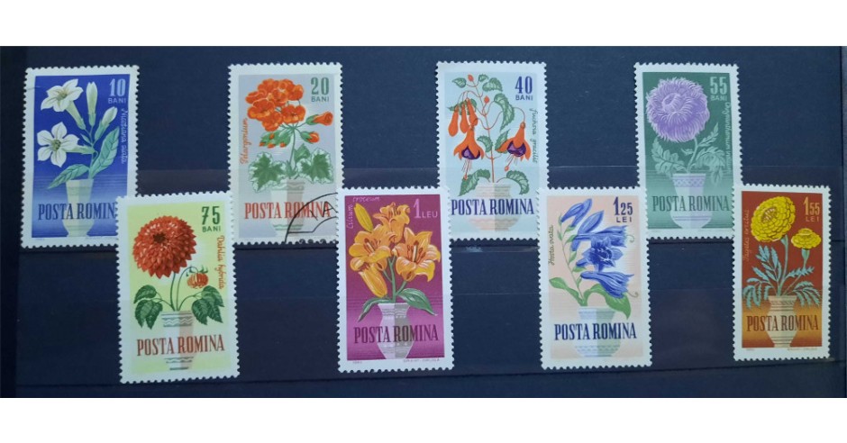 Timbre 1964 Flori de gradina | arhiva Okazii.ro