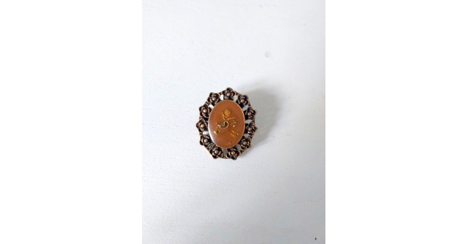 Brosa veche vintage cu hornar metalic prin in rasina, in cadru metalic ...