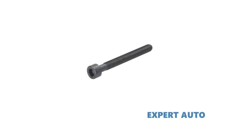 Surub injector m6x55 Volkswagen Transporter T5 (2003-2015) | arhiva ...