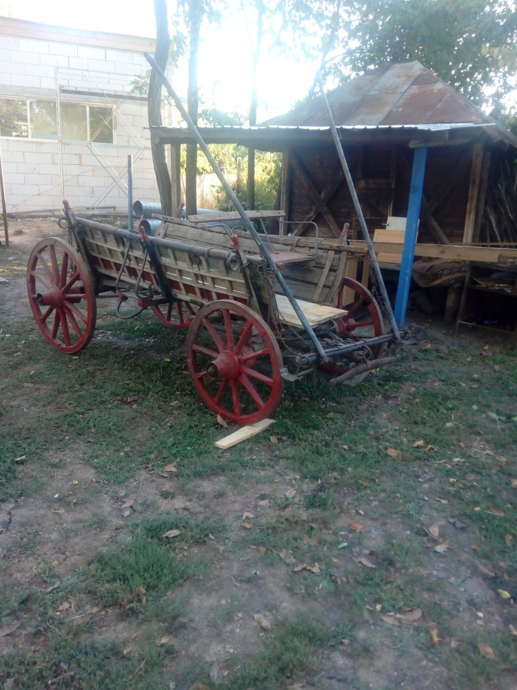Caruta veche - 1960 | arhiva Okazii.ro