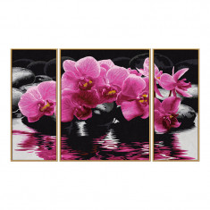 Set pictura pe numere Orhidee Schipper Simba, 3 tablouri, 40 x 50 cm/20 ...