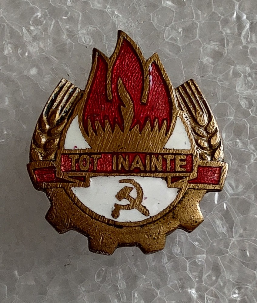 Insigna organizatiei de pionieri - Tot inainte RPR | arhiva Okazii.ro