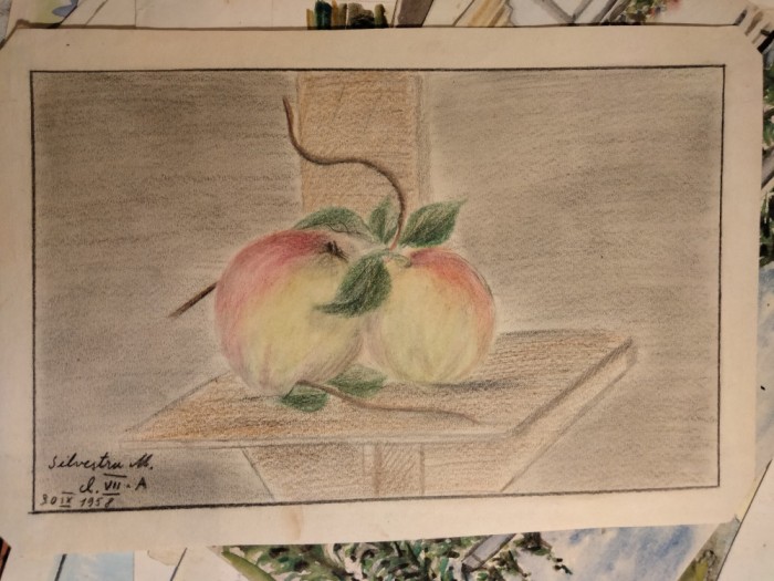 Natura statica cu mere, 1958, desen in creion, Carbune, Realism | Okazii.ro