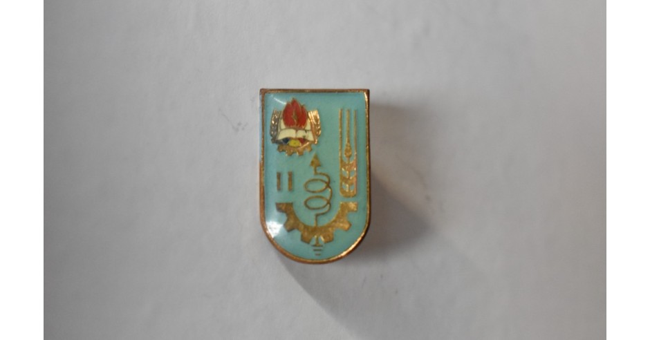 Insigna Pionier Pionieri - Pionier Inventator - clasa II | arhiva Okazii.ro