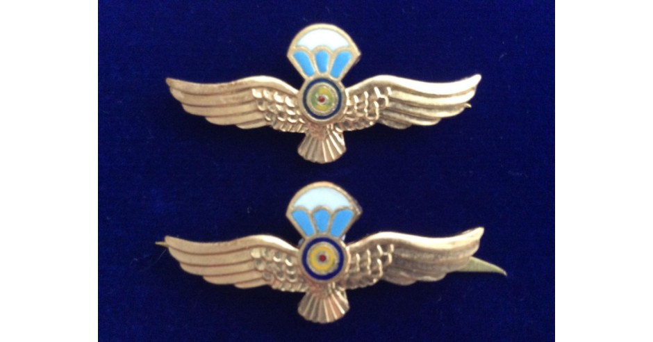 Insigne -Romania -Semne de arma - Avia?ie - Para?uti?ti militari ...