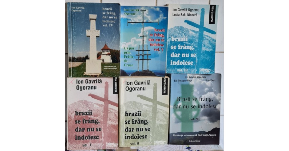 BRAZII SE FRANG DAR NU SE INDOIESC 6 VOL ION GAVRILA OGORANU REZISTENTA ...