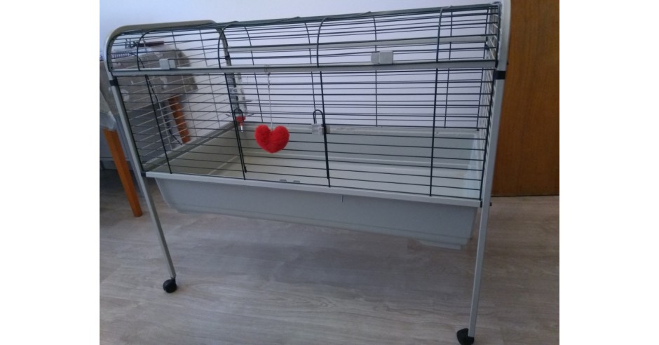 Cusca pe ro?i - animale mici - rozatoare - pisica - porcusor de Guineea ...