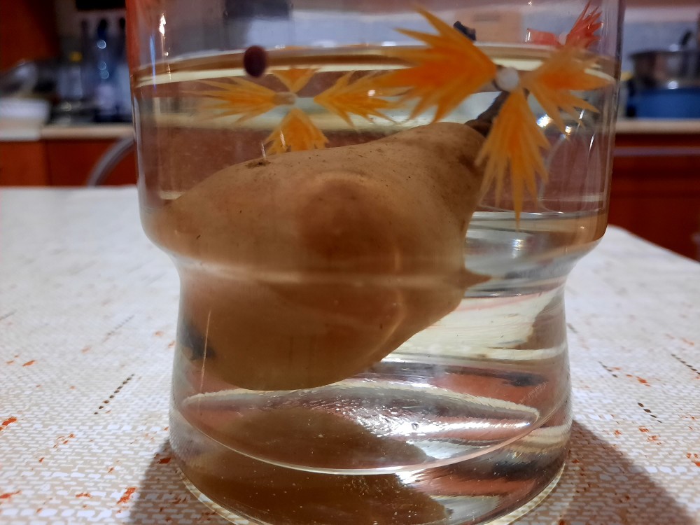 Palinca/Horinca de prune mere sau pere | arhiva Okazii.ro