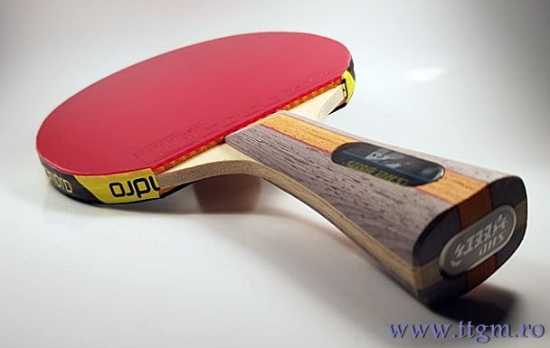 Paleta profesionala tenis de masa (ping pong) | arhiva Okazii.ro Paleta profesionala tenis de masa (ping pong) | arhiva Okazii.ro