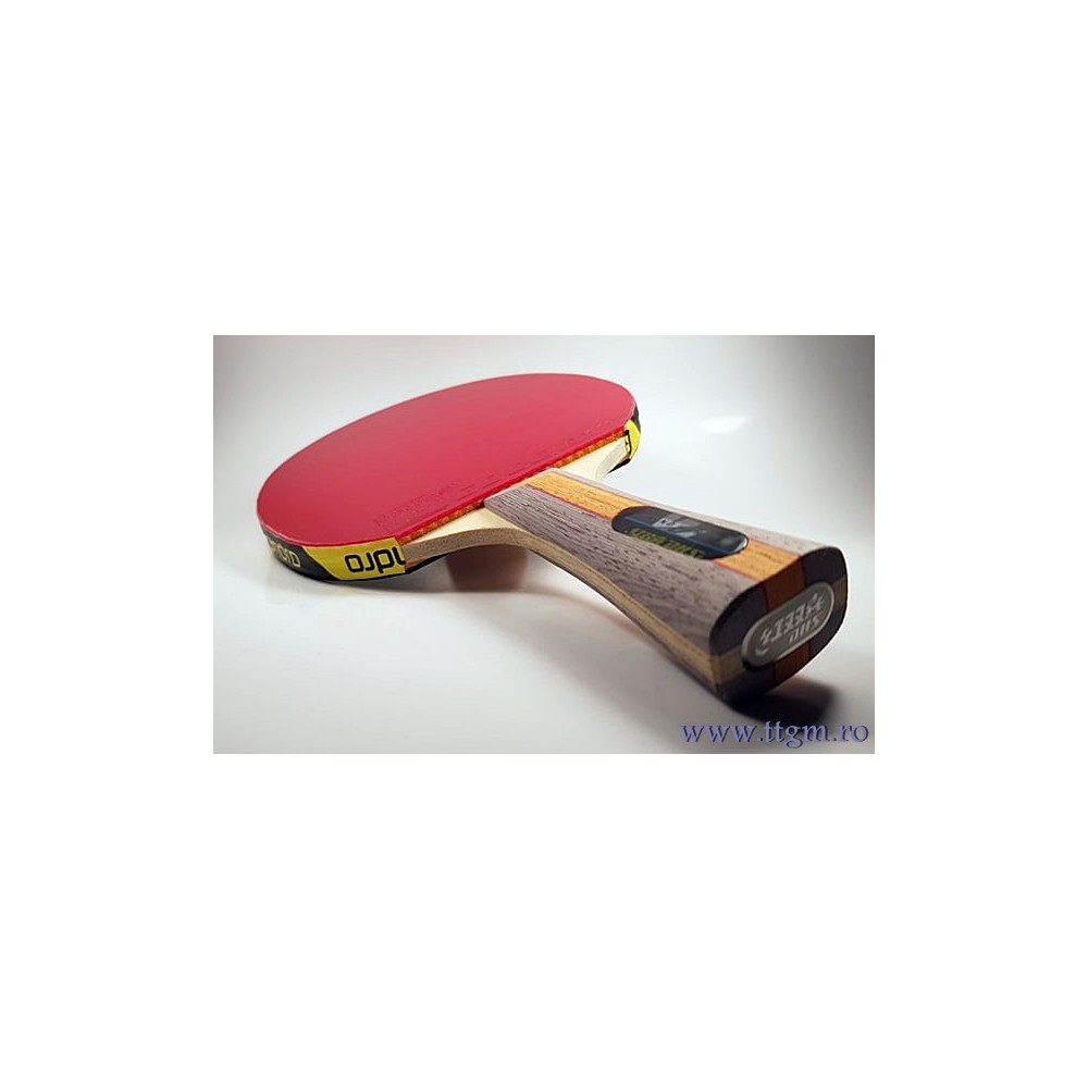 Paleta profesionala tenis de masa (ping pong), DHS | Okazii.ro Paleta profesionala tenis de masa (ping pong), DHS | Okazii.ro