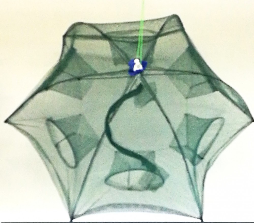 Halau, Crasnic, Varsa tip umbrela cu 6 intrari | arhiva Okazii.ro