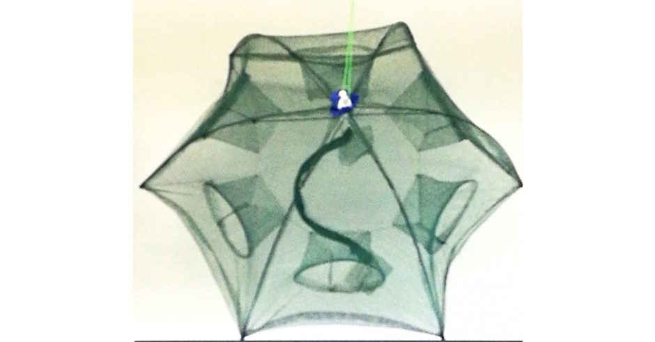 Halau, Crasnic, Varsa tip umbrela cu 6 intrari | arhiva Okazii.ro