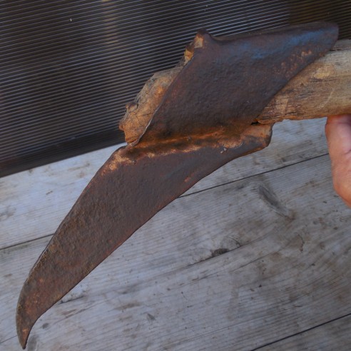 Tapina. Cumpara ieftin, pret bun