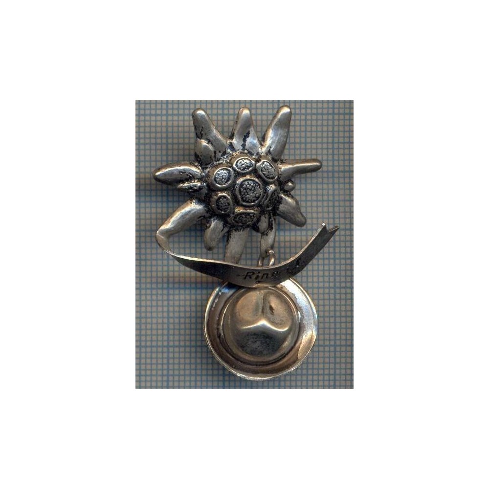 AX 185 INSIGNA-TURISM MONTAN -VANATOARE- FLOARE DE COLT SI PALARIE DE ...