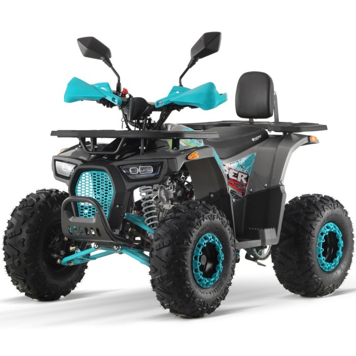ATV electric ECO DustRider XXL 1500W 60V 20Ah cu diferential, roti 8 ...