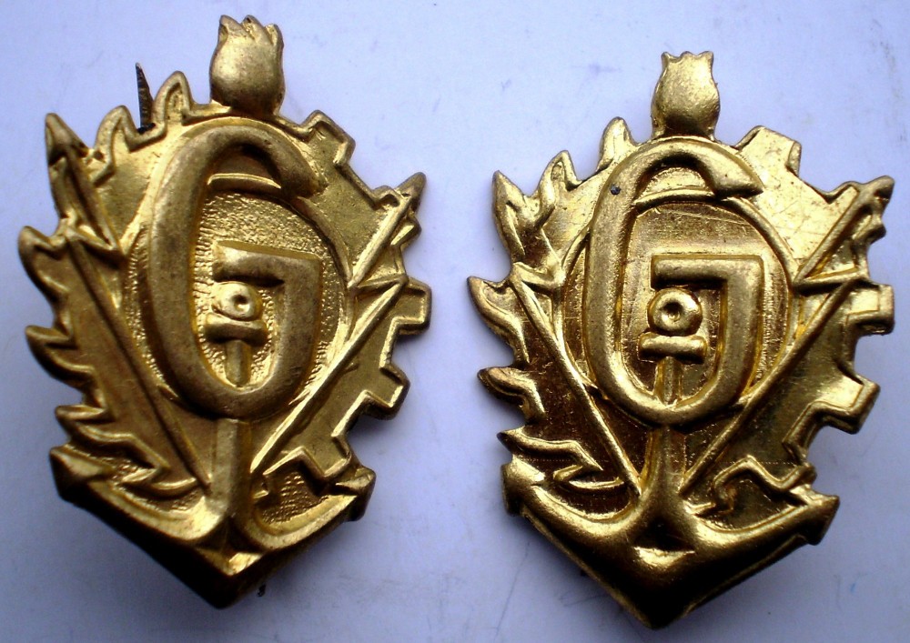 I.359 ROMANIA ARMATA SEMNE ARMA INSEMNE MILITARE GENIU AURII, Argintiu ...