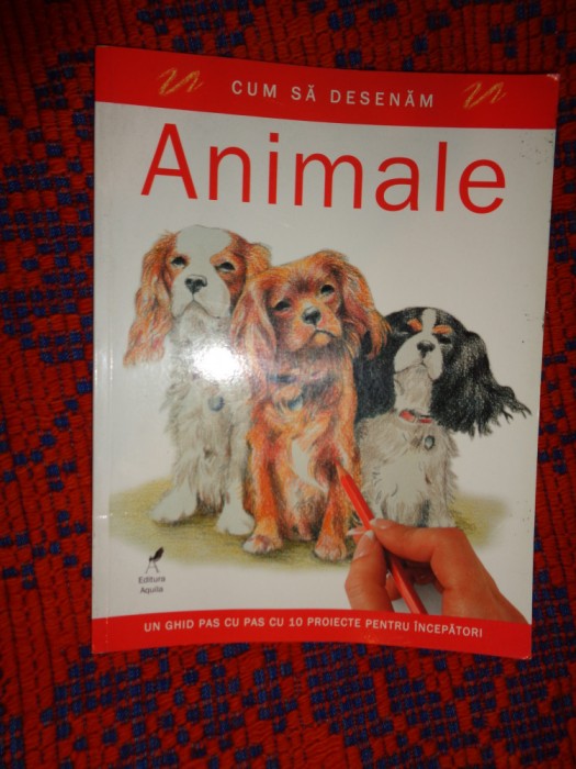 Cum sa desenam animale / un ghid pas cu pas cu 10 proiecte pentru ...
