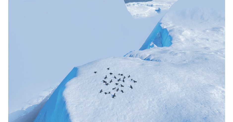 asdfas dfas dfa sdfa sdf asdf | arhiva Okazii.ro