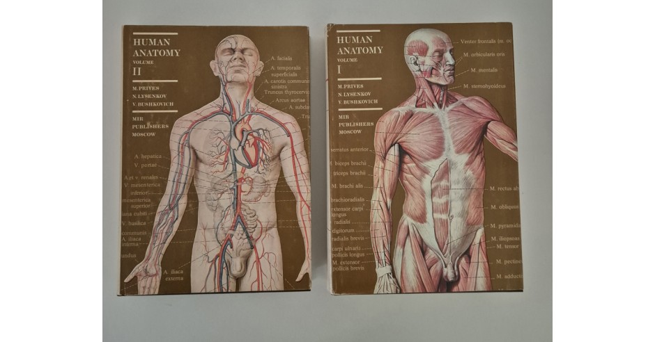M Prives N Lysenkov Anatomie Umana / Human Anatomy Limba engleza ...