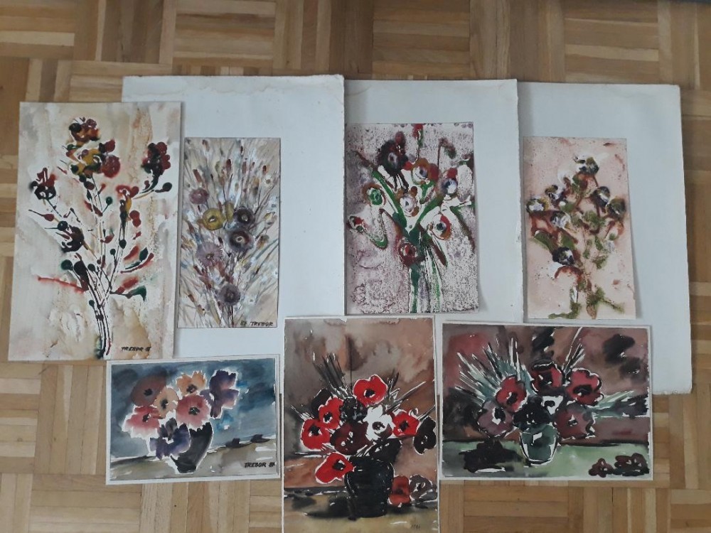 TIMISOARA LOT 7 ACUARELE PATERA ROBERT / TREBOR FLORI RARE | arhiva ...