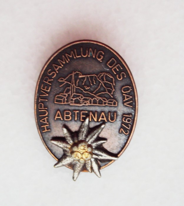 Insigna Floare de colt | Okazii.ro