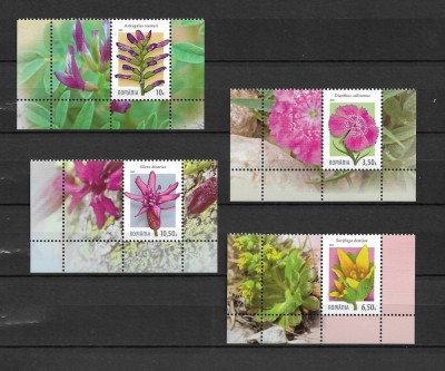 ROMANIA 2022- PLANTE ENDEMICE DIN CARPATI, VINIETA 2 - LP 2382 ...