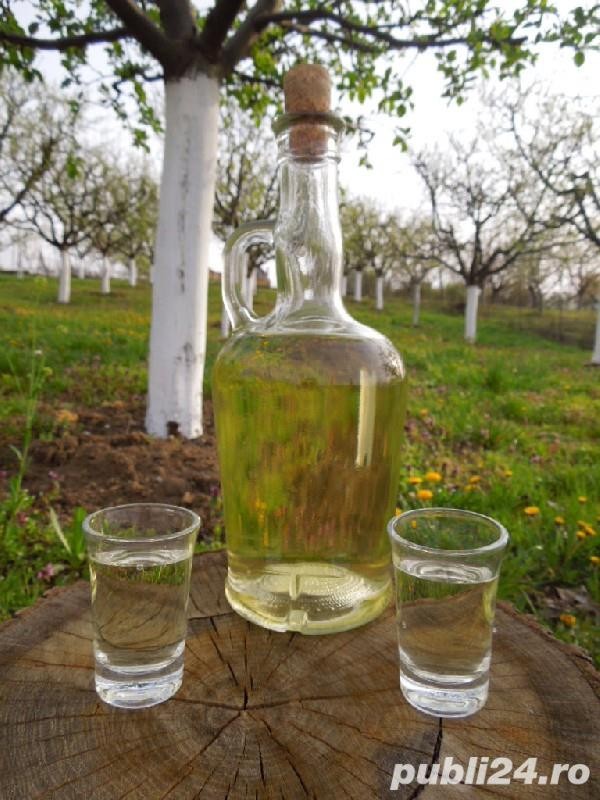 Tuica | arhiva Okazii.ro