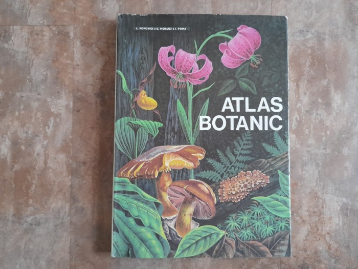 Atlas Botanic - Lucia Popovici, 1985 | Okazii.ro