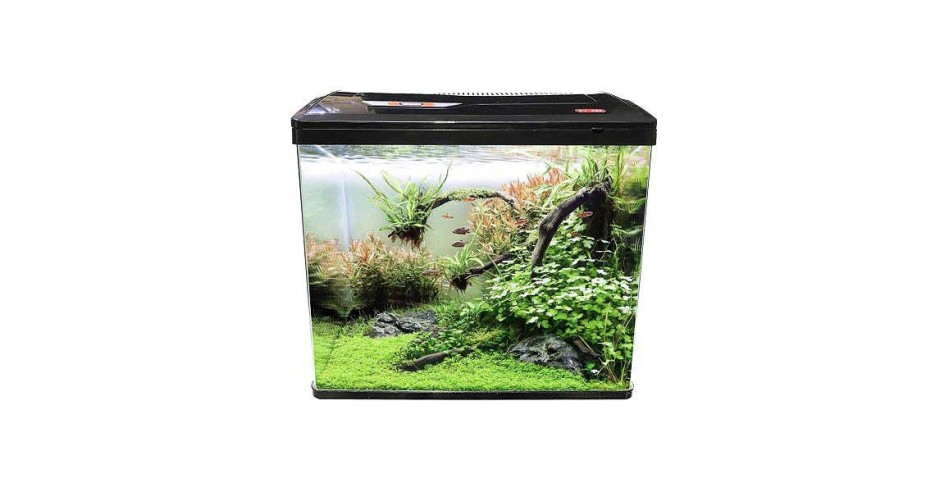 Acvariu pesti Perfect Tank 61 litri cu iluminare LED si geam curbat ...