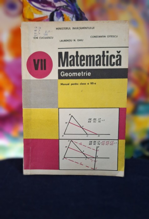 Carte - Matematica, geometrie manual pentru clasa a VII- a - Ion ...