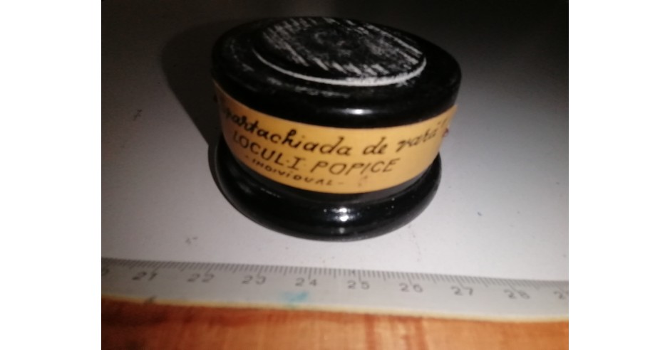 POSTAMENT TROFEU - SPARTACHIADA DE VARA -LOCUL 1 POPICE-FABRICA IPMS ...