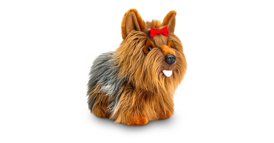 Catel de plus Yorkshire 40 cm | arhiva Okazii.ro