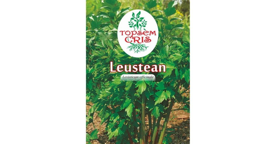 Leustean Lovage 20 G | arhiva Okazii.ro