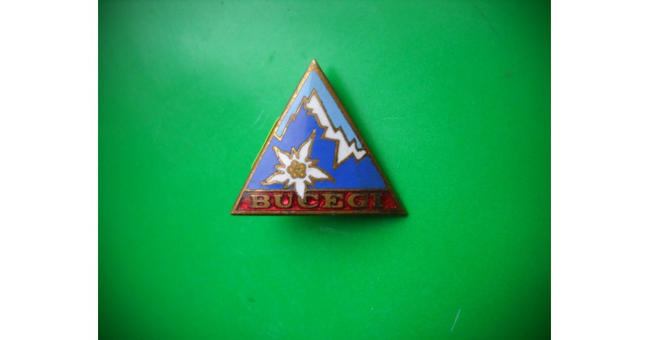 HOPCT ROMANIA INSIGNA VECHE BUCEGI-FLOARE DE COLT/EDELWEISS -RARA ...