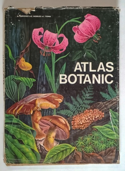 ATLAS BOTANIC de LUCIA POPOVICI , CONSTANTA MORUZI si ION TOMA , 1994 * EDITIE CARTONATA | Okazii.ro