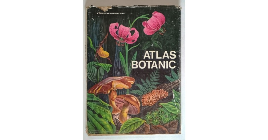 ATLAS BOTANIC de LUCIA POPOVICI , CONSTANTA MORUZI si ION TOMA , 1994 ...