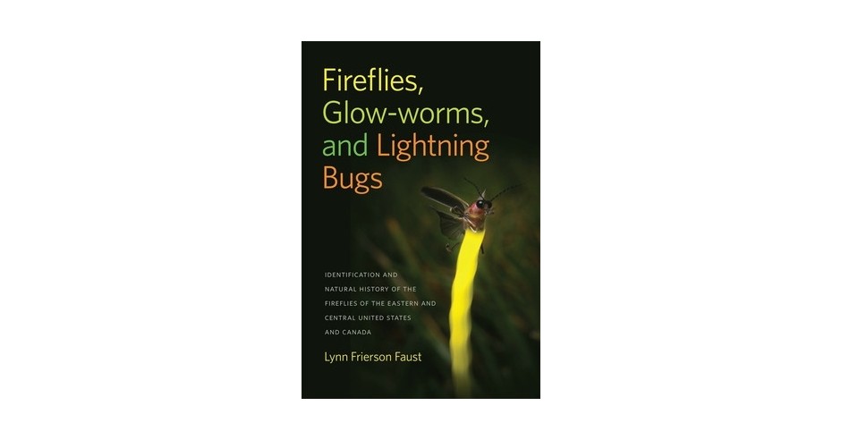Fireflies, Glow-Worms, and Lightning Bugs: Identification and Natural ...
