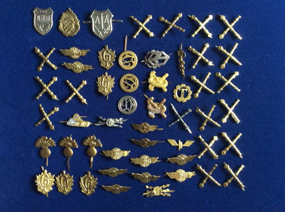 Insigne Romania - Insigne militare - Semne de arma - Insemne diferite ...
