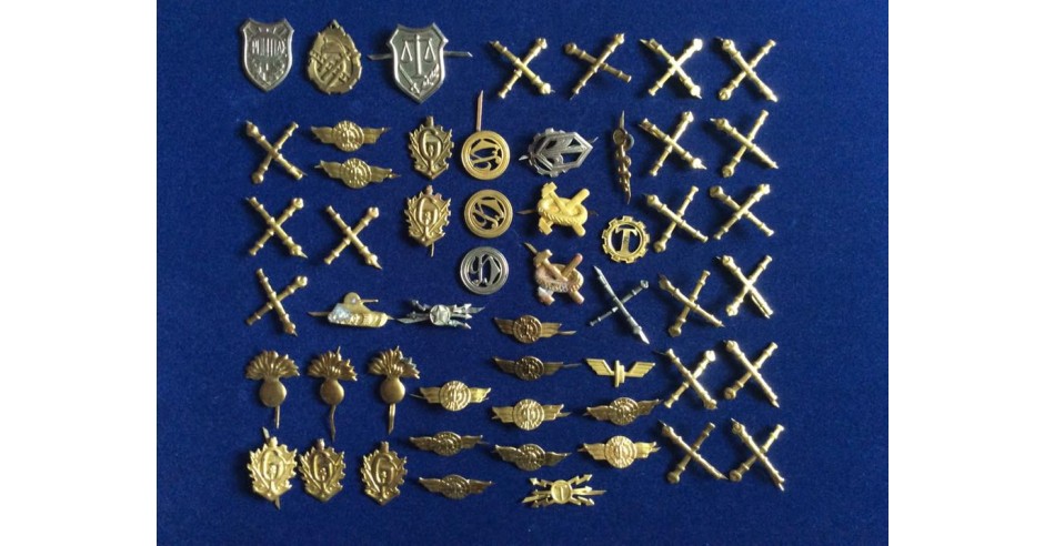 Insigne Romania - Insigne militare - Semne de arma - Insemne diferite ...