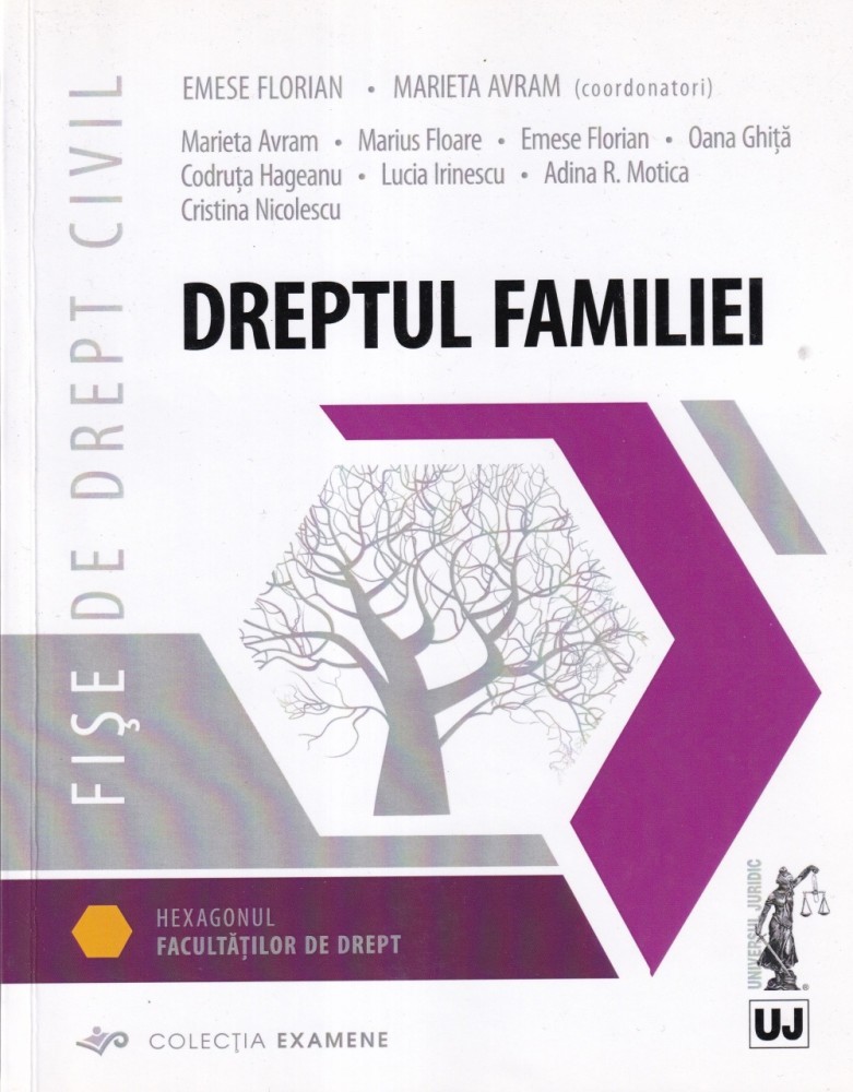 Emese Florian - Dreptul familiei. Fise de drept civil | Okazii.ro