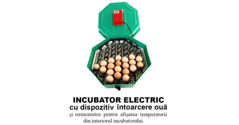 Incubator Electric Clocitoare 60 Oua Termometru si Intoarcere Cleo 5 ...