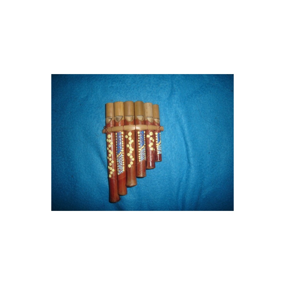 INSTRUMENT DE CANTAT NAI | arhiva Okazii.ro