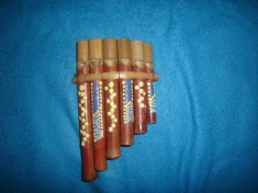 INSTRUMENT DE CANTAT NAI | arhiva Okazii.ro