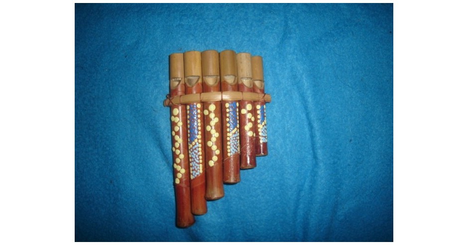 INSTRUMENT DE CANTAT NAI | arhiva Okazii.ro